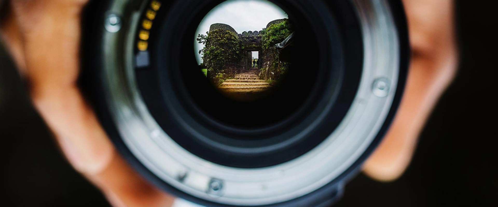 Cómo elegir el objetivo adecuado para la fotografía
